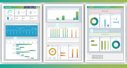 Ultimate Excel Project Management Template - Standard Version ...