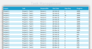 Multiple Project Plan Excel Template | Analysistabs® Pro